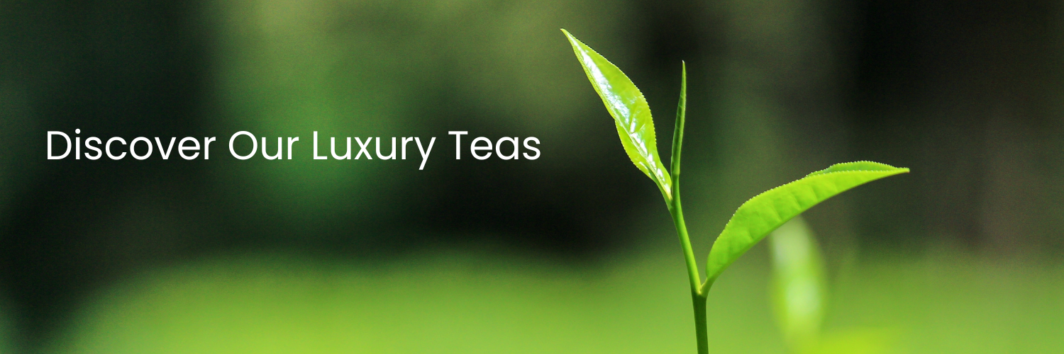 METZ Luxury Tea HK – METZ Luxury Tea Hong Kong